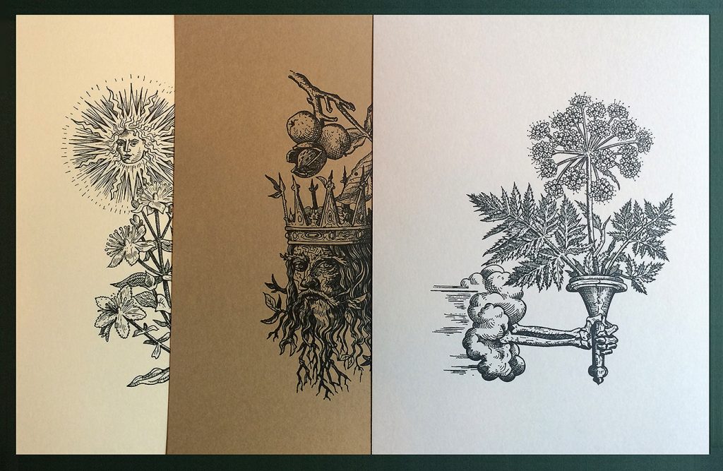 Shop - Three Hands Press